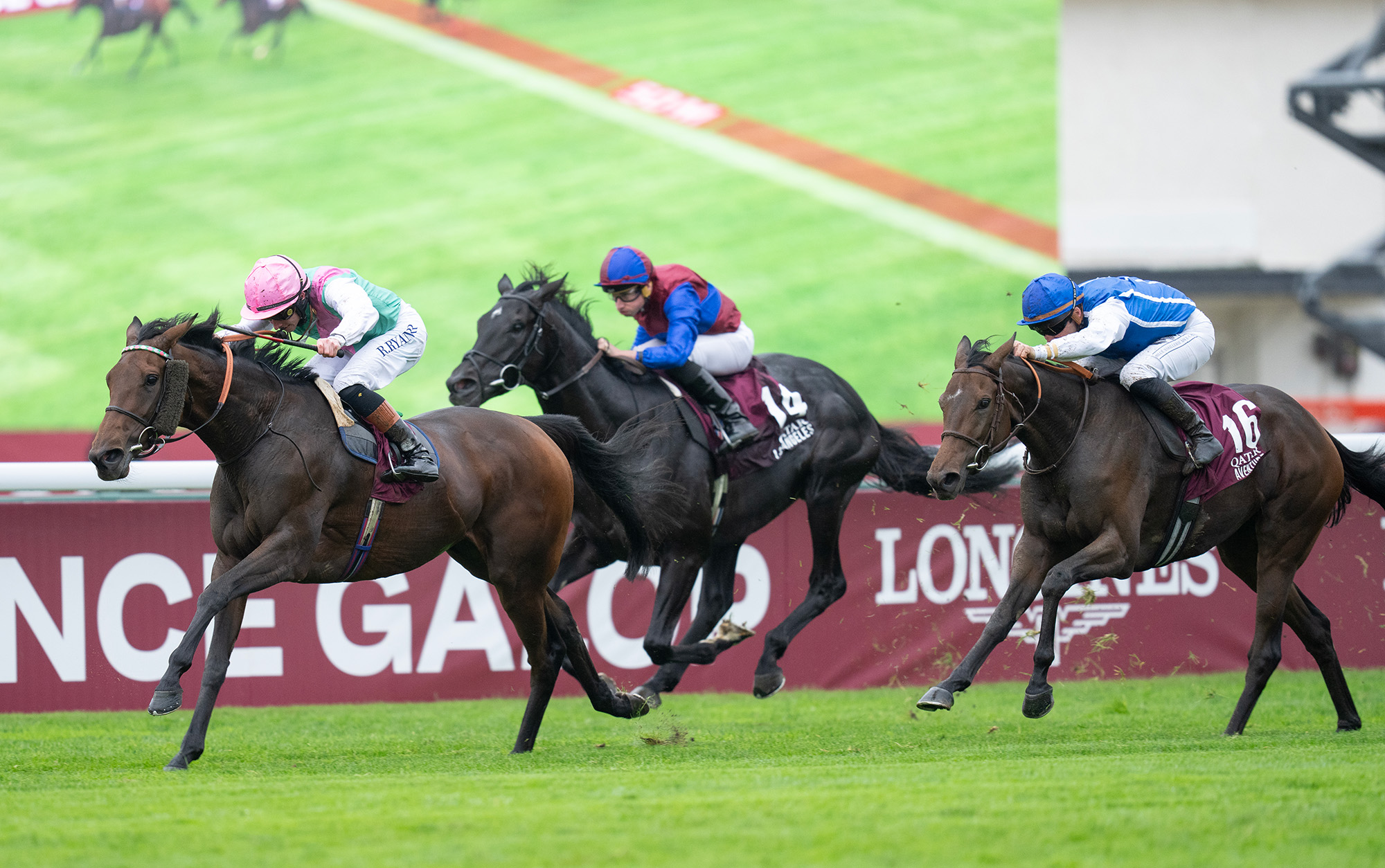 Bluestocking: Efteranmälda stoet segrade i Arcen - Jockey Klubben