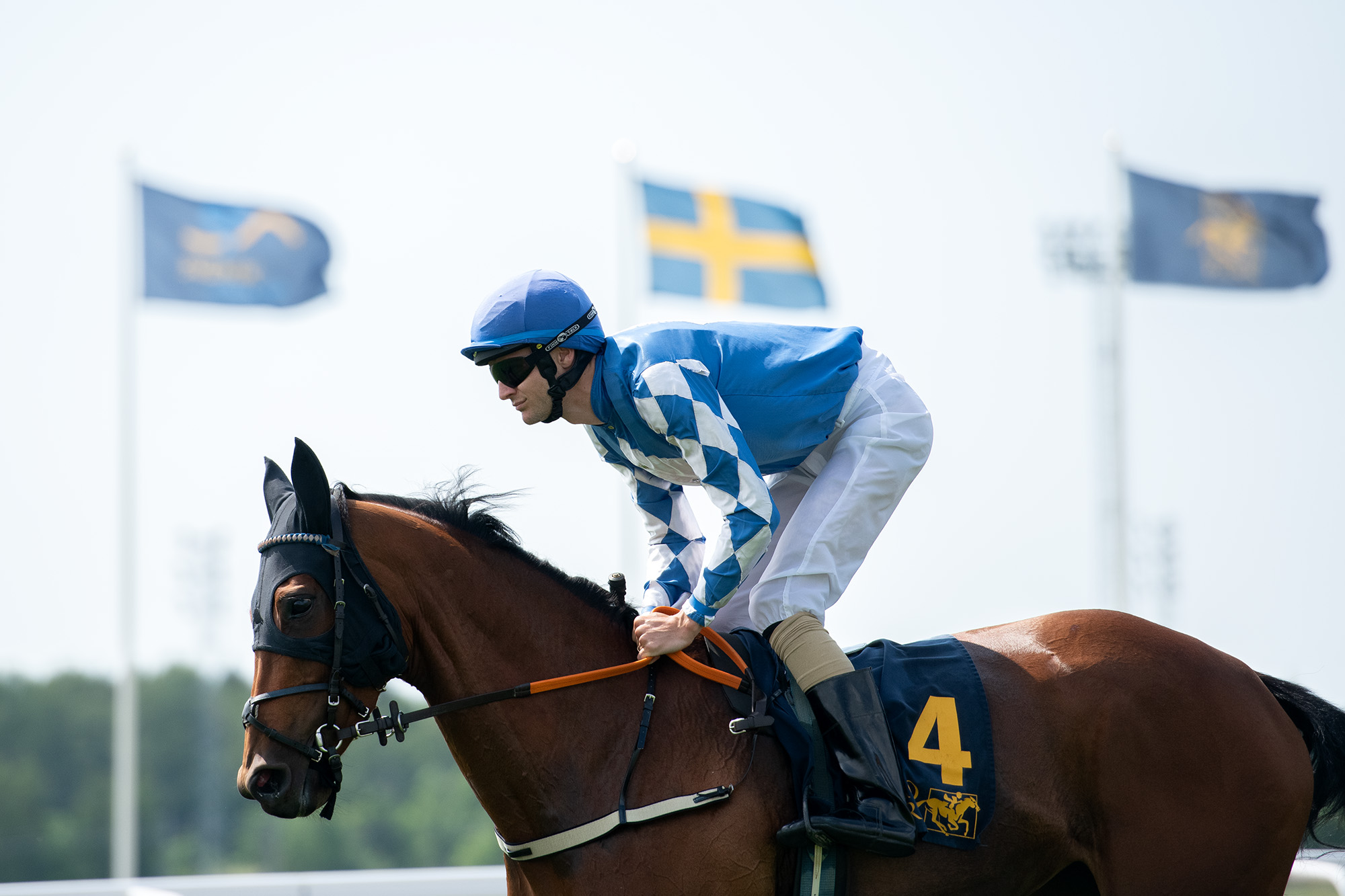 Namn: Christopher Roberts, Proffstränare 2024 - Jockey Klubben