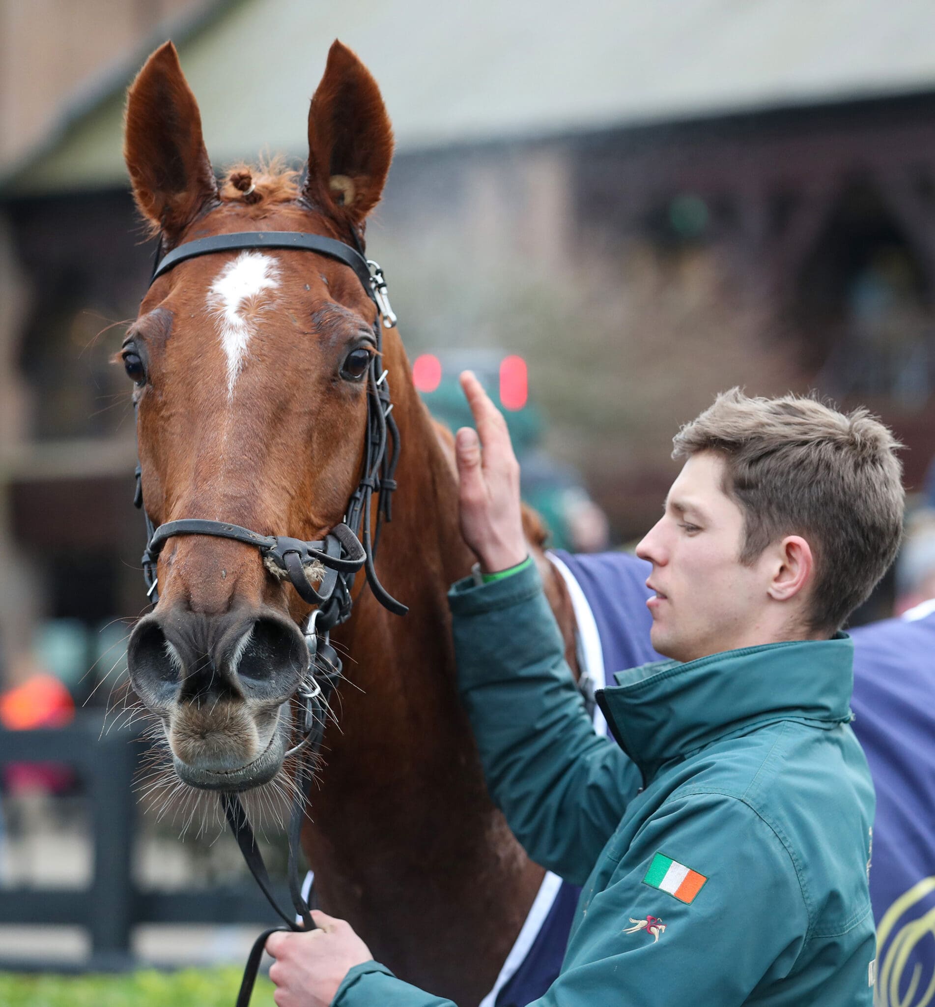 Ny stor framgång för Elliot Öhgren - Jockey Klubben