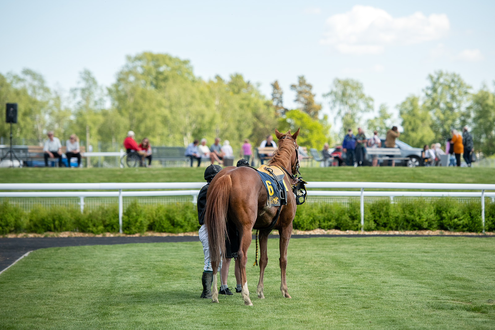 Ett förtydligande angående val till SG:s styrelse den 12 juni - Jockey ...