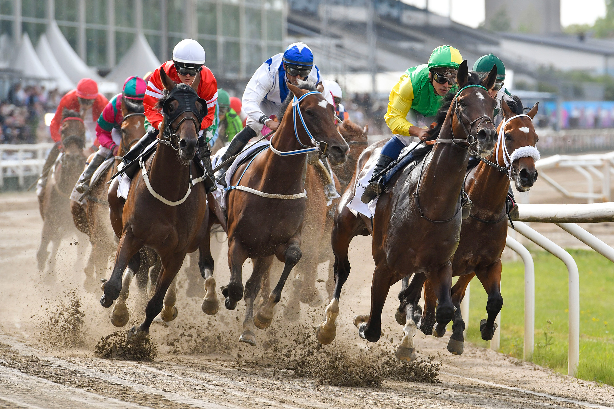 Tillbaka till ruta ett! Nu får det vara nog! - Jockey Klubben