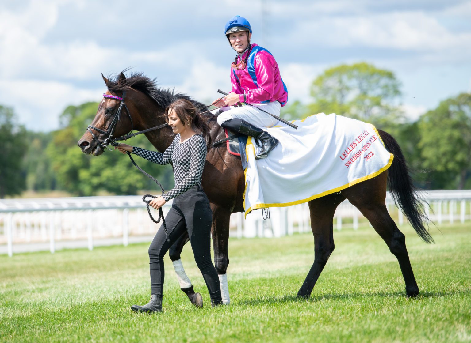 King David stöter på Grupp 1-motstånd i Grupp 3-löpning - Jockey Klubben