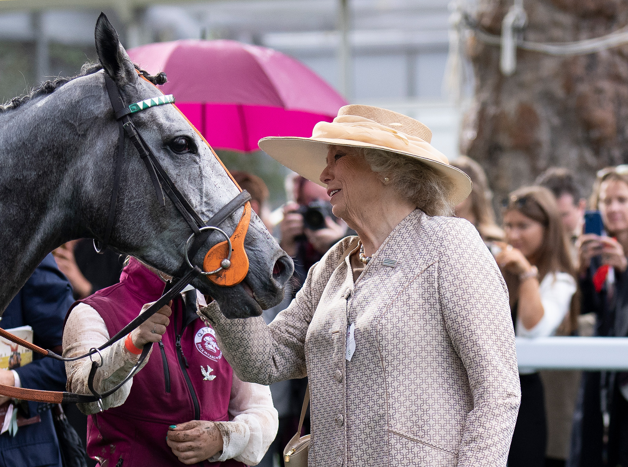 Kostnadsfritt webbinarium med Kirsten Rausing - Jockey Klubben
