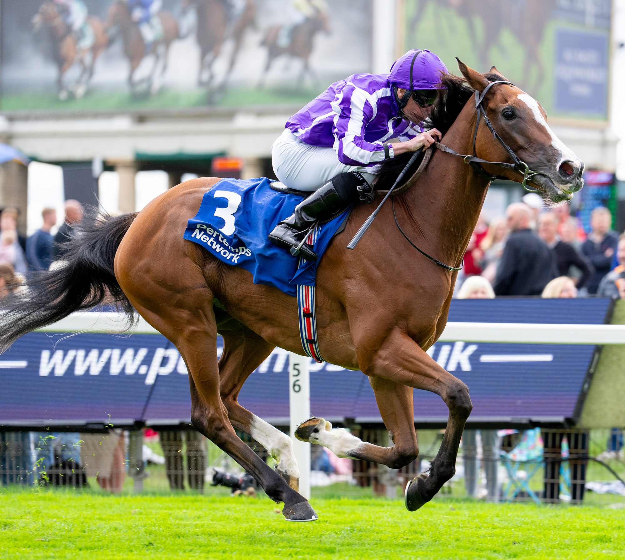 Dags för “Arcen”: fördel ston!? - Jockey Klubben