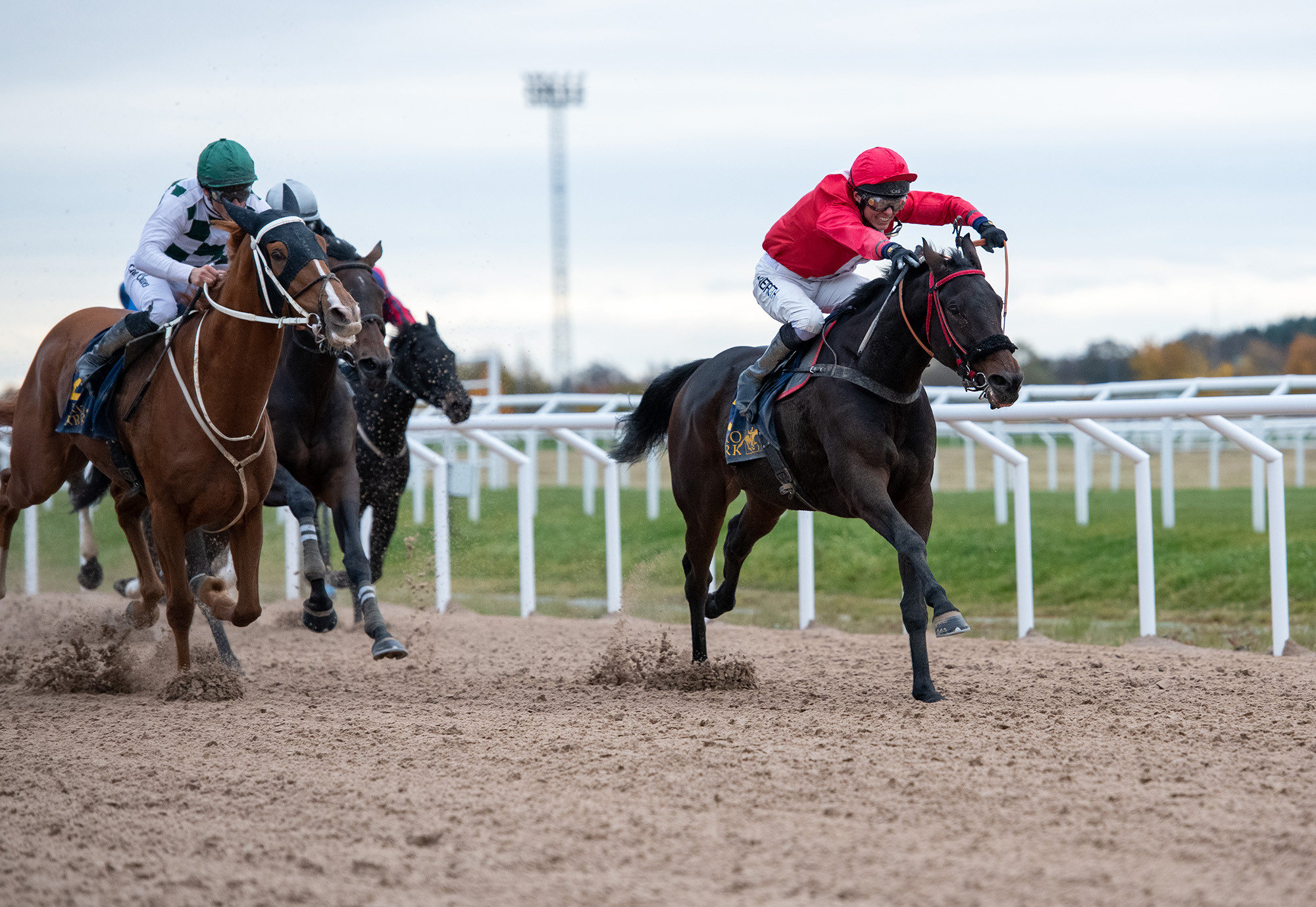 Seneschal slog till i Songline - och Alina blev jockey - Jockey Klubben