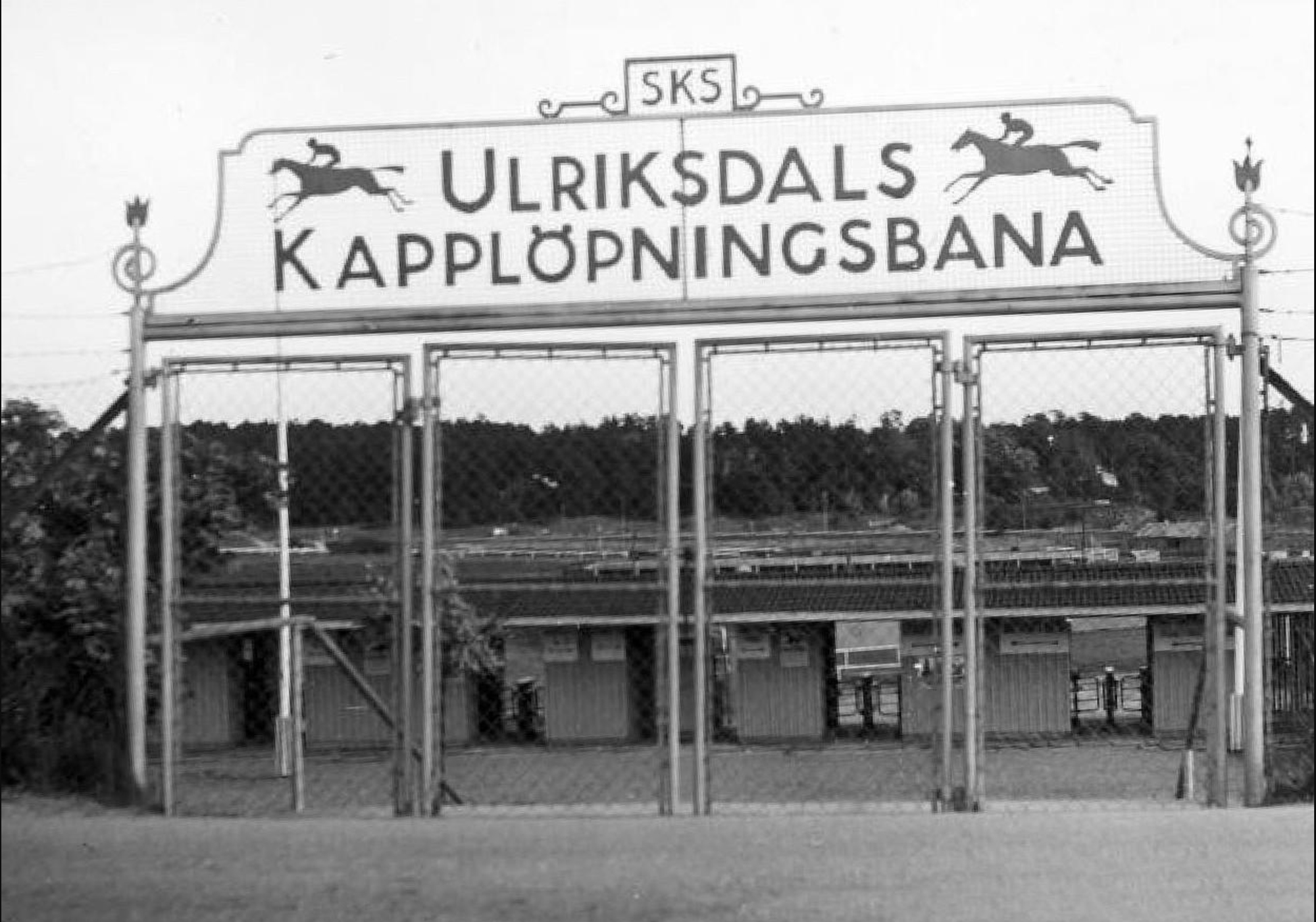 Björn Edgren: Fortfarande en vinnare! - Jockey Klubben