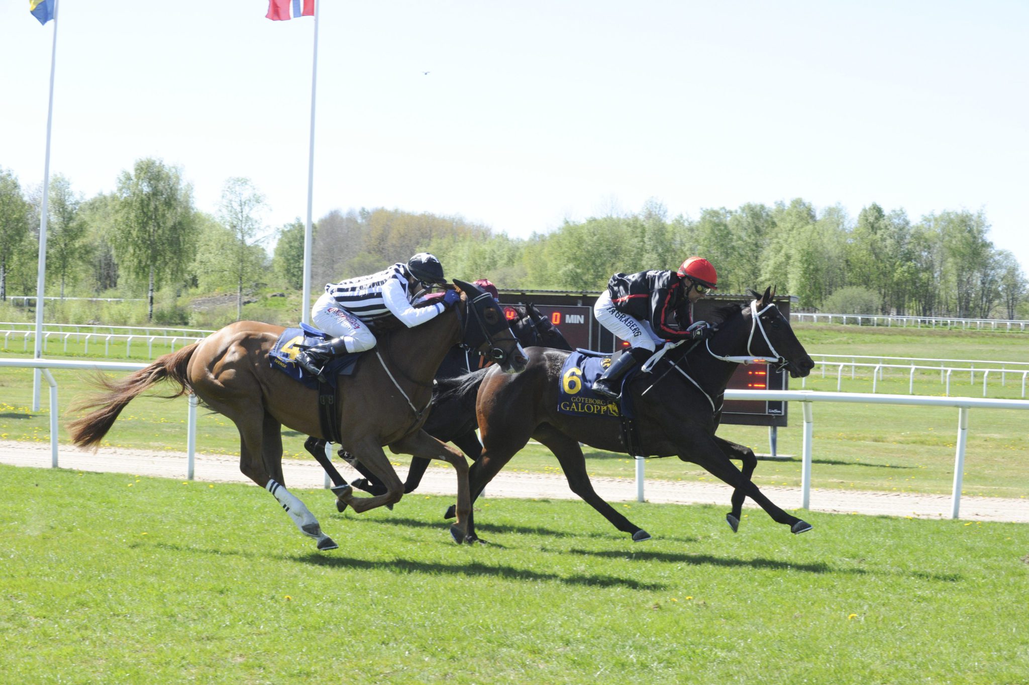 Kalejs-kalas och Chaves-comeback - Jockey Klubben